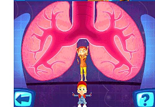 Addy Junior Mein Körper3 › Games-Guide