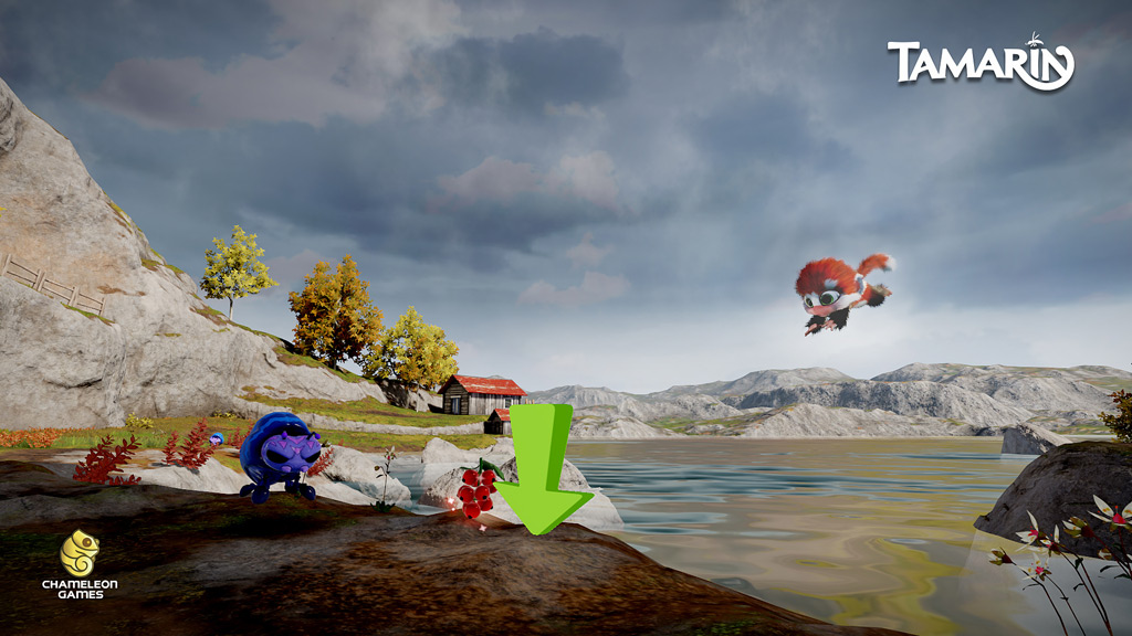 Tamarin › Games-Guide